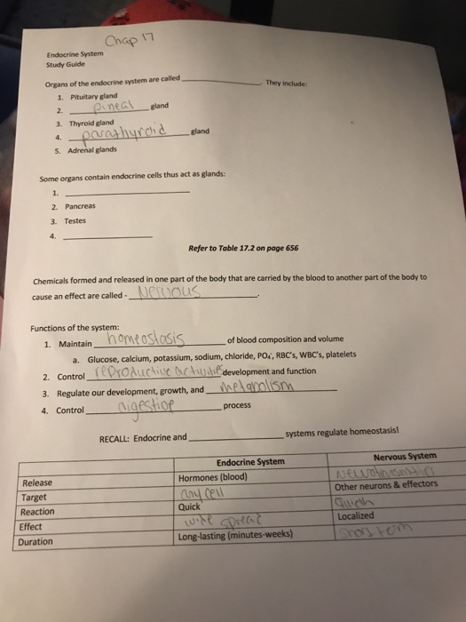 Solved Endocrine System Study Guide Organs of the endocrine | Chegg.com