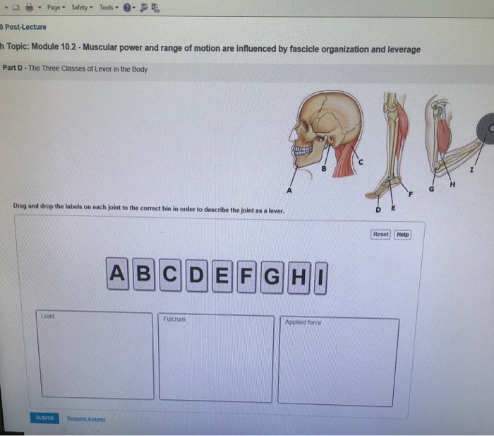 Solved 0 Post-Lecture h Topic: Module 10.2 -Muscular power | Chegg.com