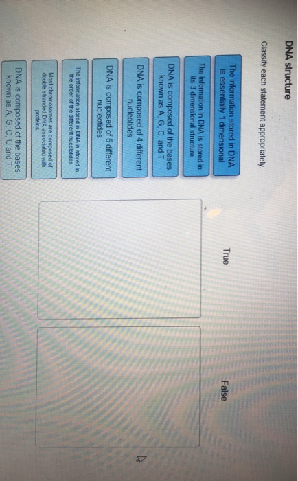 Solved Classify each statement appropriately The | Chegg.com