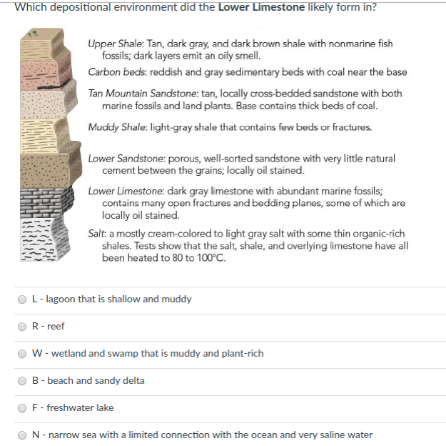 Solved Which depositional environment did the Lower | Chegg.com