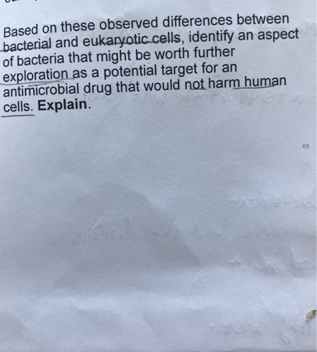 Solved Based on these observed differences between bacterial | Chegg.com