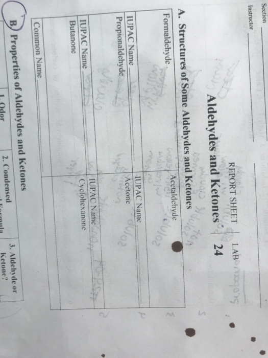 Solved Instructor REPORT SHEET LAB Aldehydes and Ketones 24 | Chegg.com