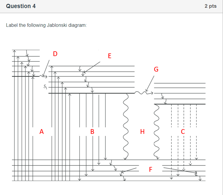 Solved Question 4 2 pts Label the following Jablonski | Chegg.com