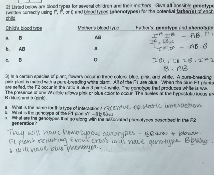 Solved 2) Listed below are blood types for several children | Chegg.com