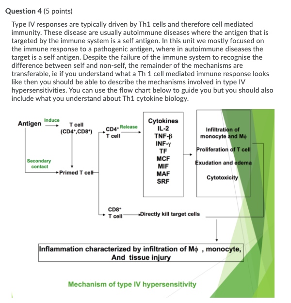 Solved Question 1 (5 points) Consider the flow chart below | Chegg.com
