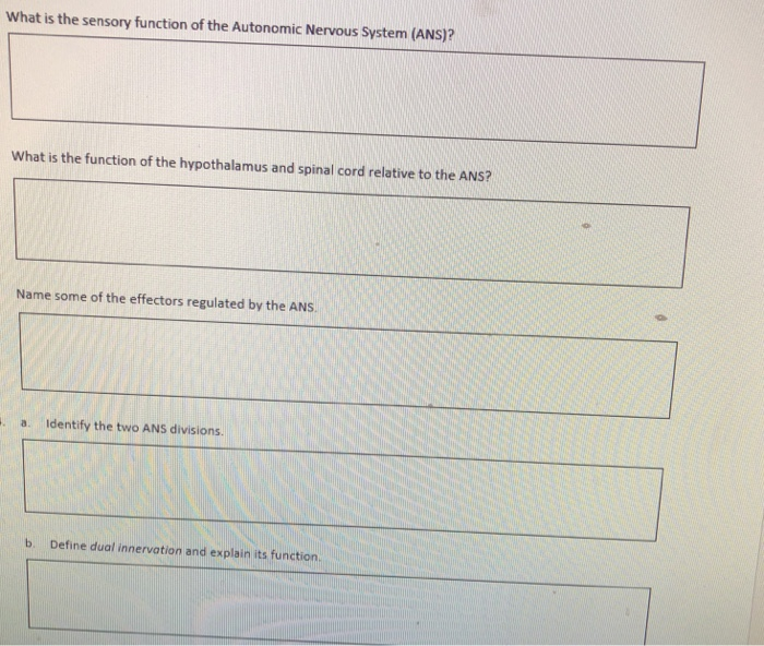 Solved What is the sensory function of the Autonomic Nervous | Chegg.com
