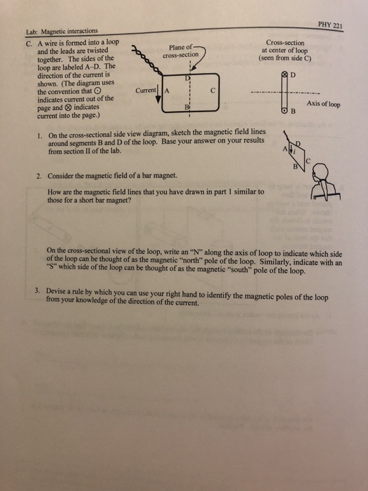 Solved IV. Summary questions A. Summarize your findings from | Chegg.com
