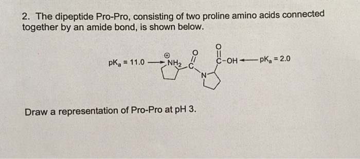 Solved The dipeptide Pro-Pro, consisting of two proline | Chegg.com