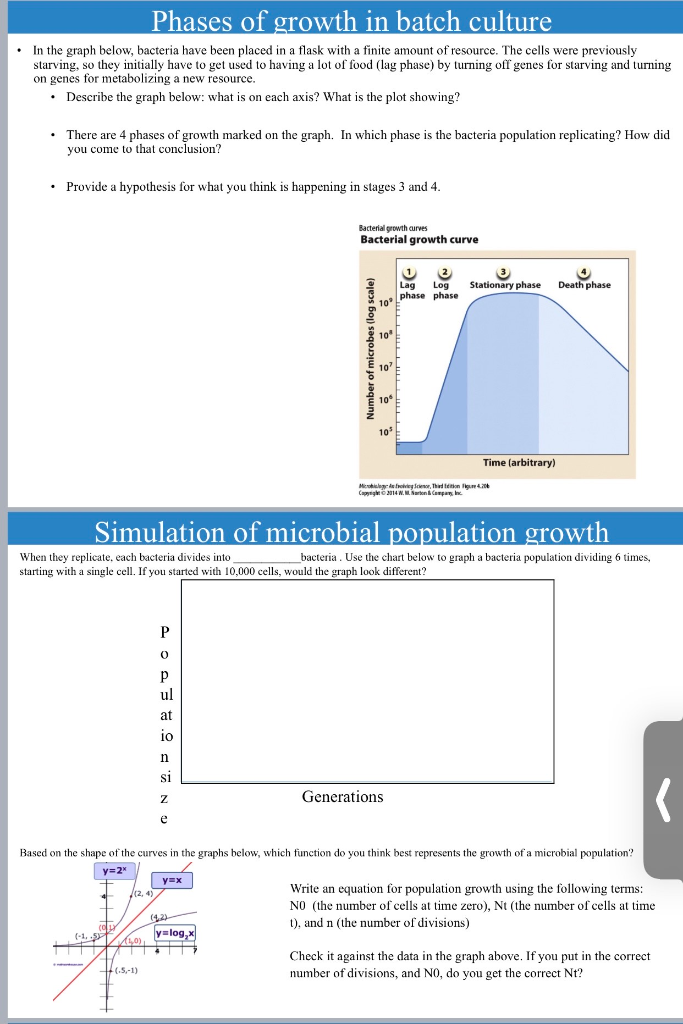 Solved Phases of growth in batch culture . In the graph | Chegg.com