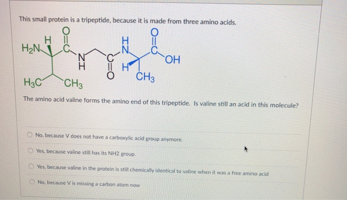Tripeptide