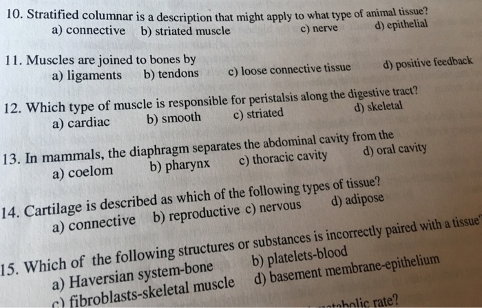 Solved 10. Stratified columnar is a description that might | Chegg.com