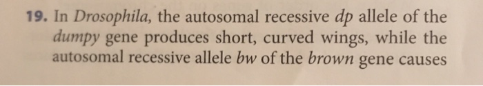 Solved 19. In Drosophila, the autosomal recessive dp allele | Chegg.com