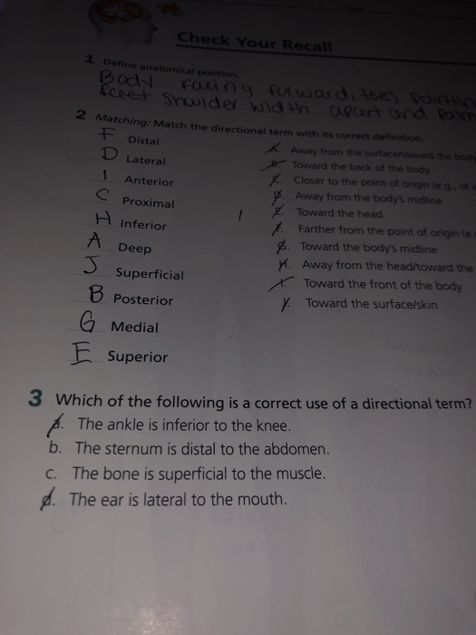 Check Your Recall 1 Define anatomical position 2 | Chegg.com