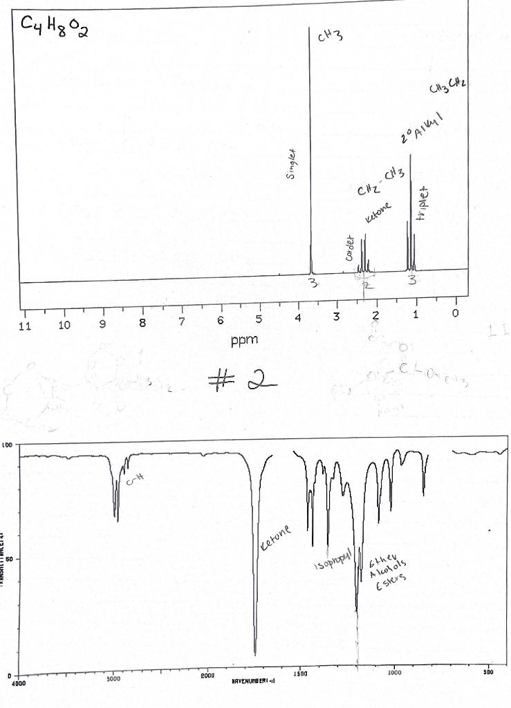 Solved I need the ionic formula of the compound that the IR | Chegg.com