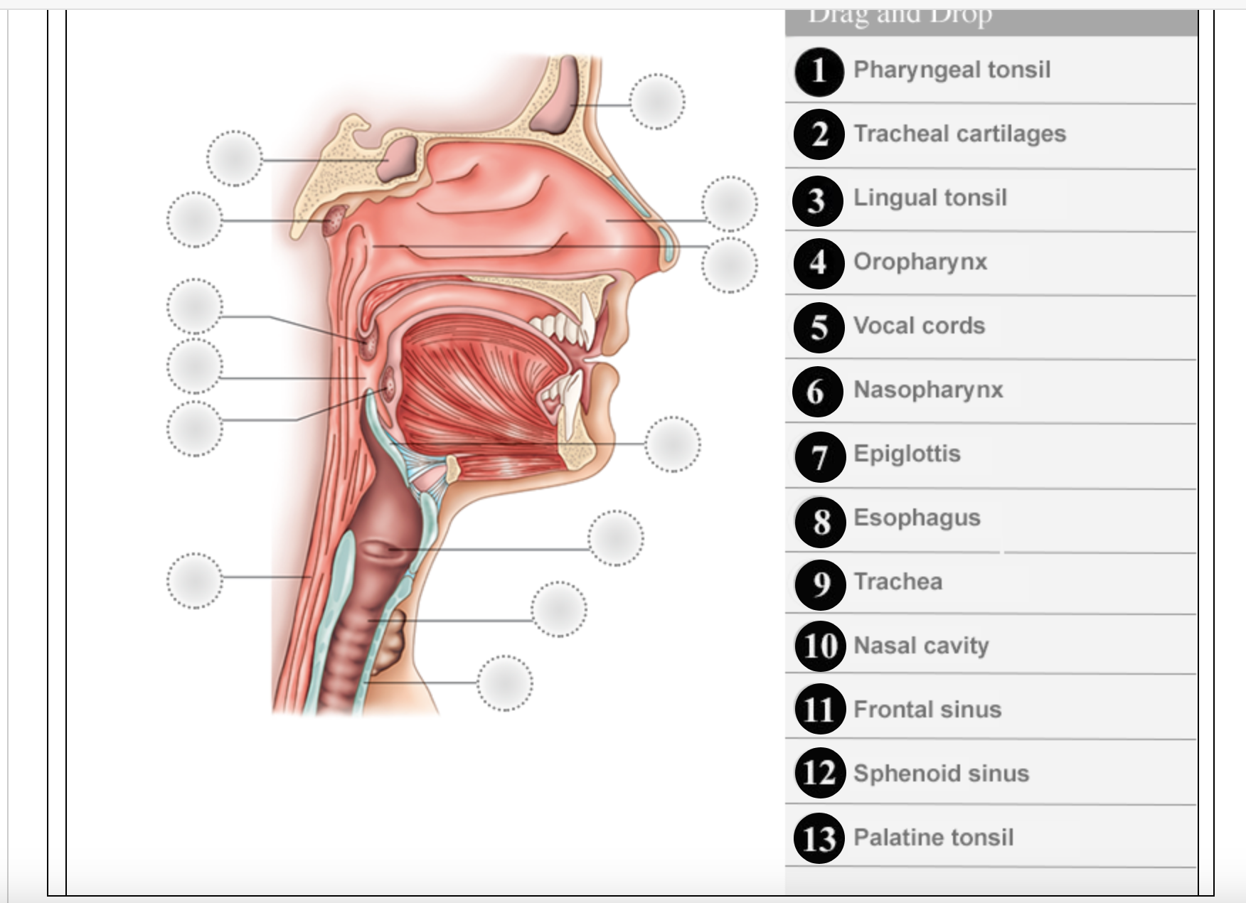 Solved Right from top1234567 left from top to bottom123456 | Chegg.com