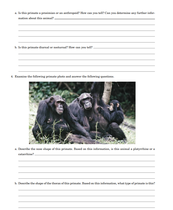 Solved 5. Examine the following primate photo and answer | Chegg.com