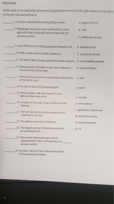Solved MATCHING Match each of the following statements by | Chegg.com