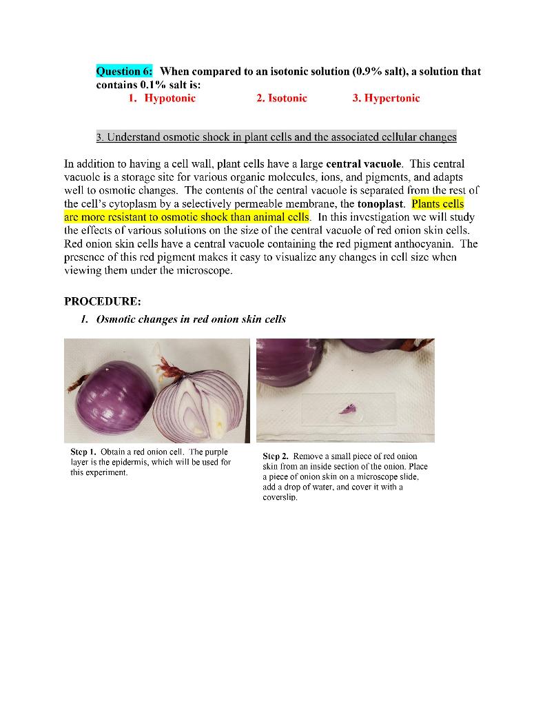Solved SUMMER BIOLOGY 181 Lab 6: Cell Transport | Chegg.com