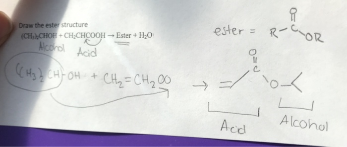 Solved Draw the ester structure (CHICHOH + CHCHCOOH ? Ester | Chegg.com