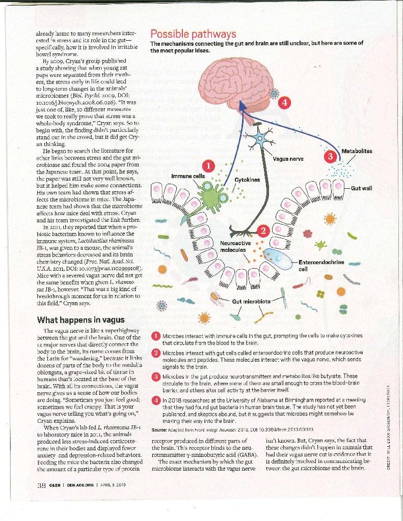 Solved Using the figure below, explain how the enteric | Chegg.com