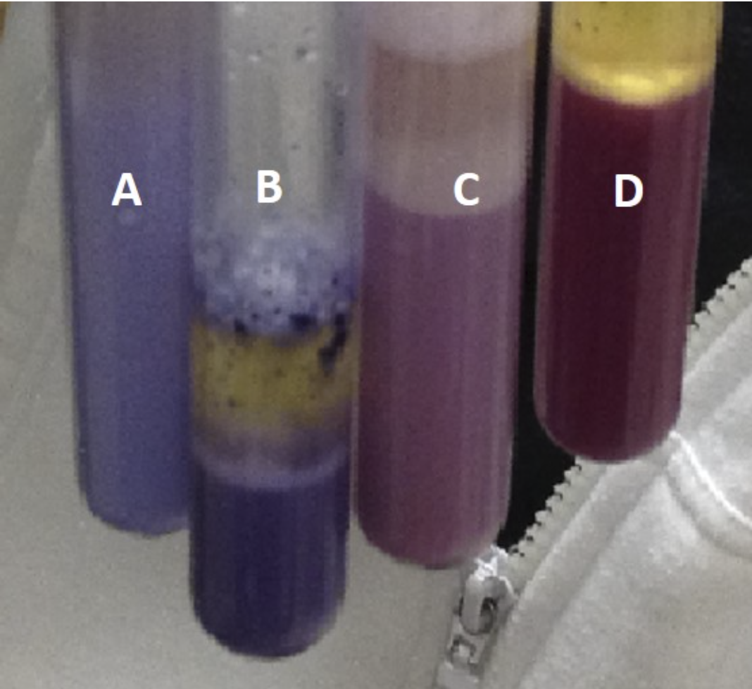 Solved Use the given then answer the following: Given: i) | Chegg.com