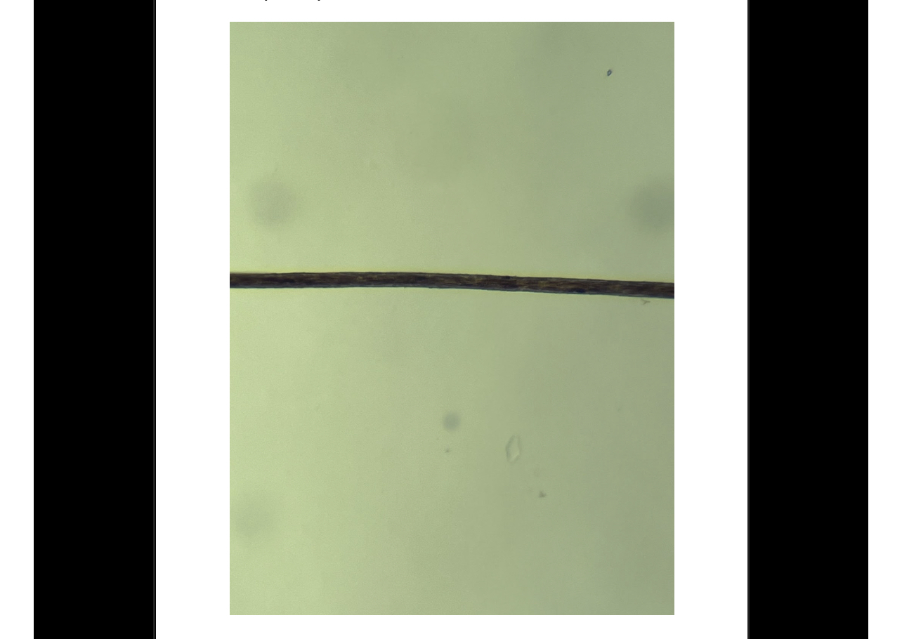 19:28 52 Hair Evidence - Liam Miller Fal23 BIOL 011 | Chegg.com