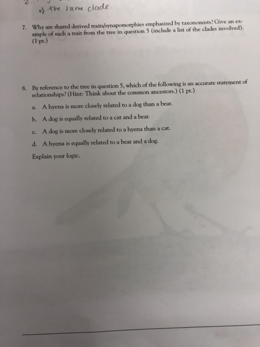 Solved 7. Why are shared derived traits/synapomorphies | Chegg.com