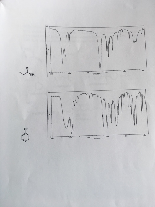Solved uched interpreted IR spectra that you collected. | Chegg.com