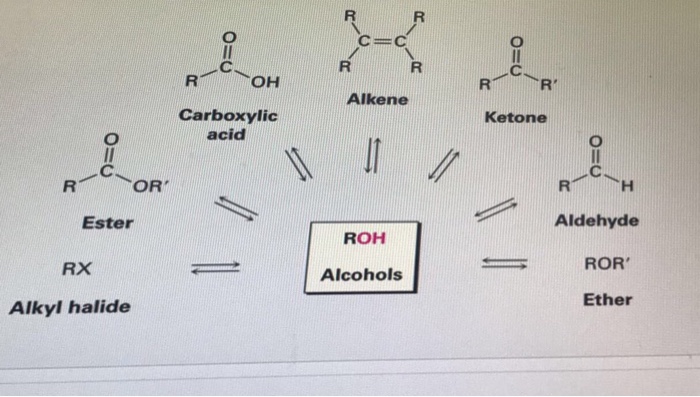 Solved と=c/ Alkene Carboxylic acid Ketone OR Ester Aldehyde | Chegg.com