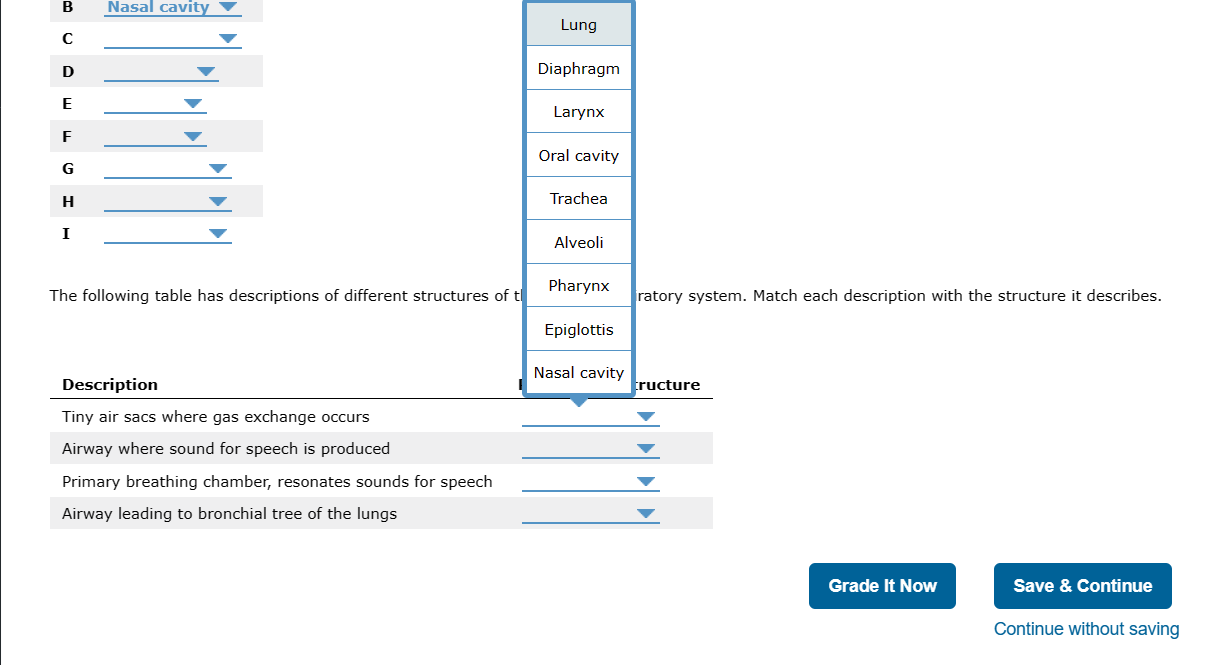 Solved Match the best answer for each description. | Chegg.com