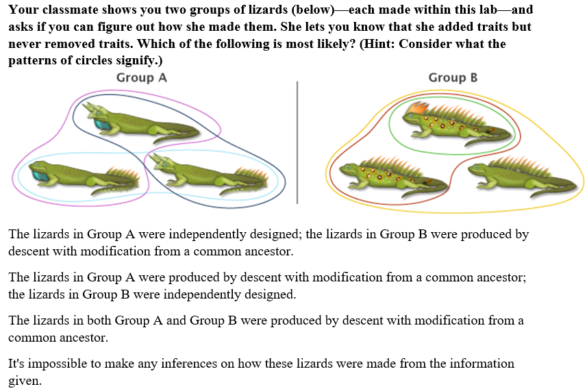 Solved Your classmate shows you two groups of lizards | Chegg.com
