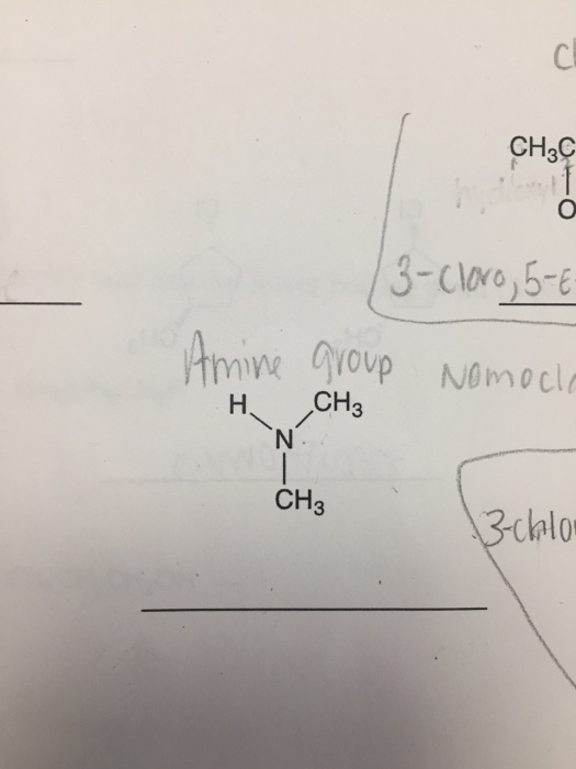 Solved CH 3 CH3 CH3 | Chegg.com