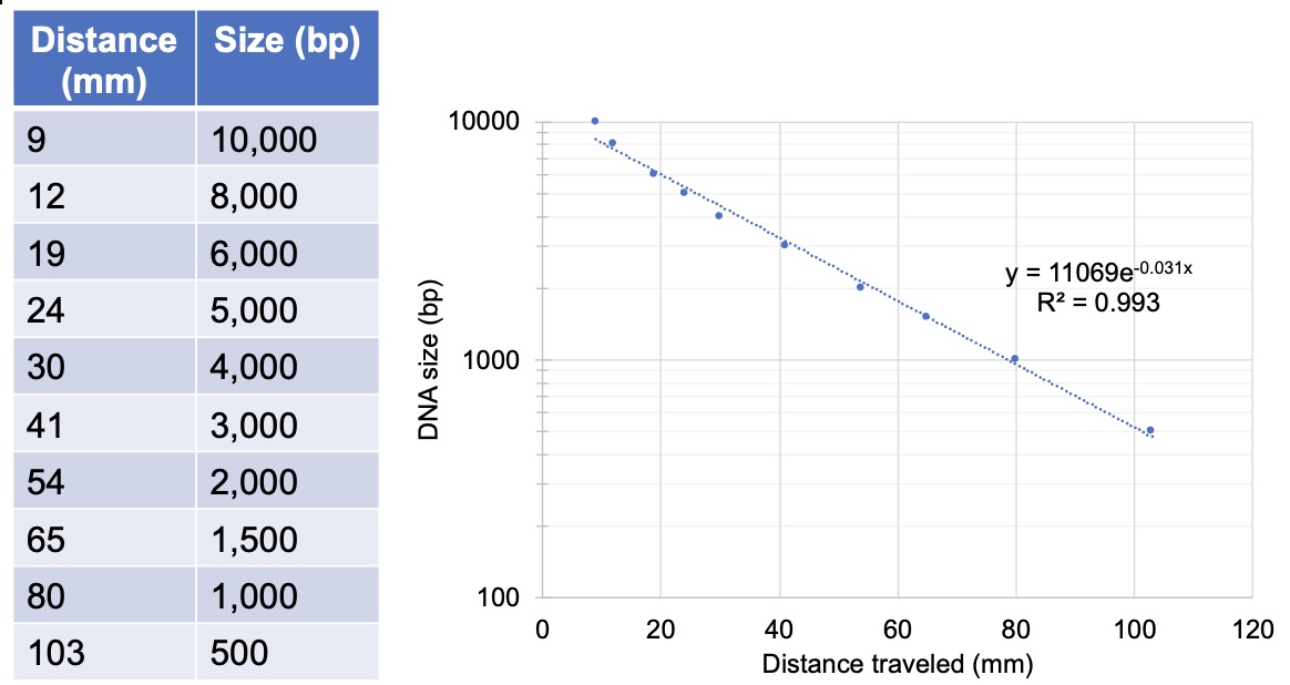 Solved The migration distance by the standards generated | Chegg.com