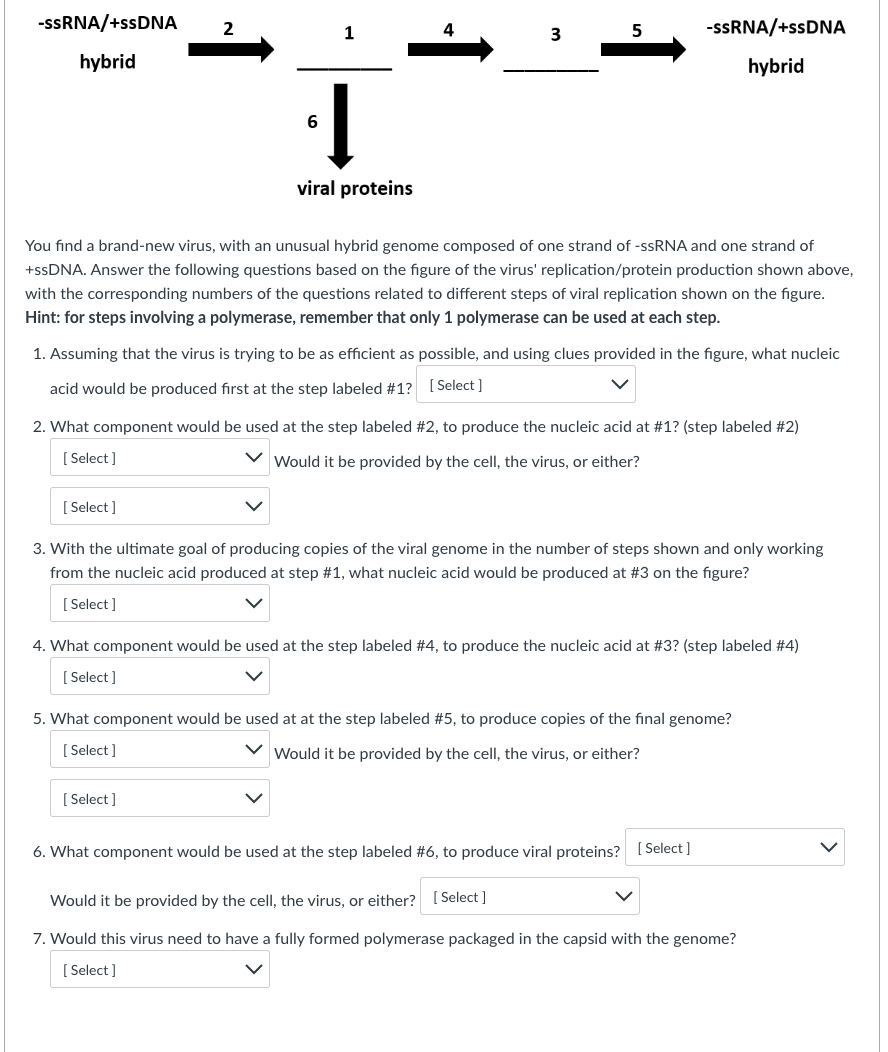 Solved I onlu need Questions 5 and 6. Answer both parts of | Chegg.com Solved I onlu need Questions 5 and 6. Answer both parts of | Chegg.com