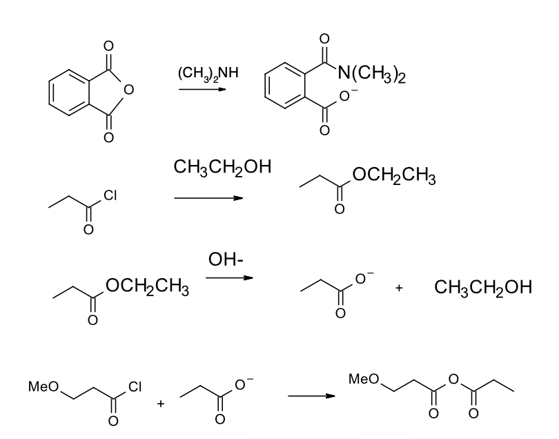 Solved (CH2)2NH N(CH3)2 0 CH3CH2OH OCH2CH3 CI OH- OCH2CH3 | Chegg.com