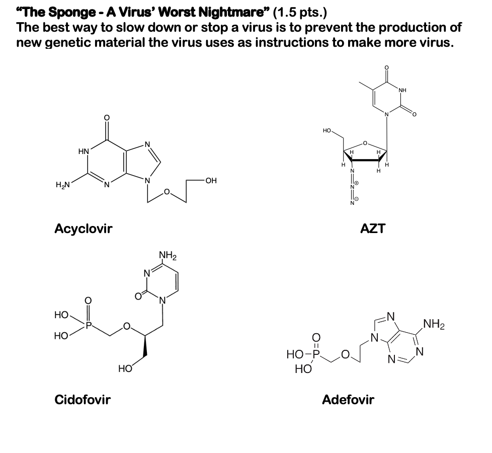 Solved “The Sponge - A Virus' Worst Nightmare" (1.5 pts.) | Chegg.com