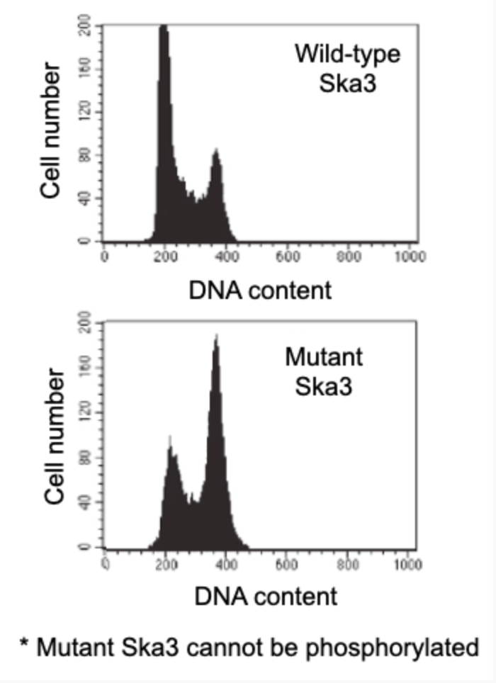 Solved The researchers performed FACS. The results of the | Chegg.com