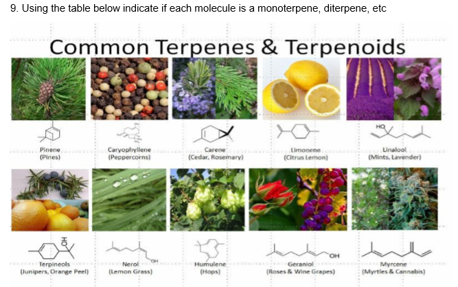 Solved 9. Using the table below indicate if each molecule is | Chegg.com