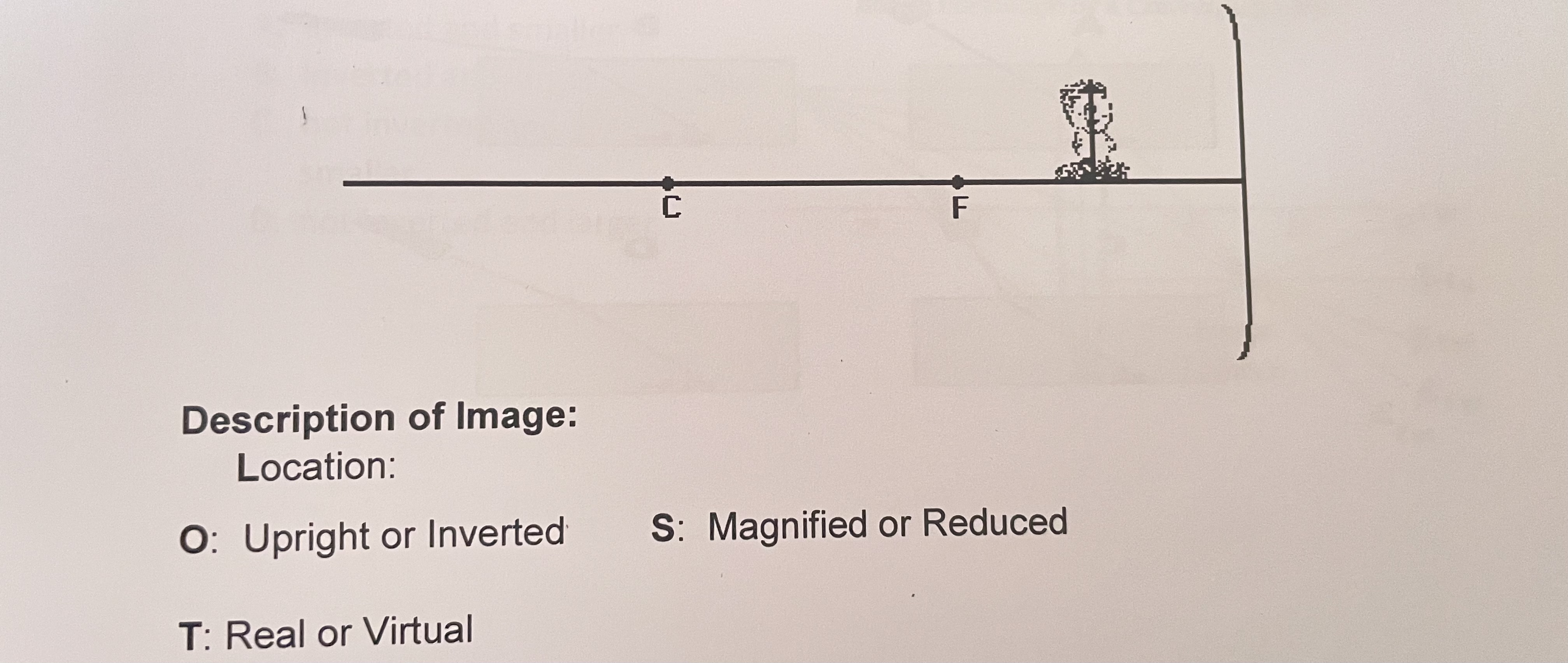 Solved Description of Image: Location: O: Upright or | Chegg.com