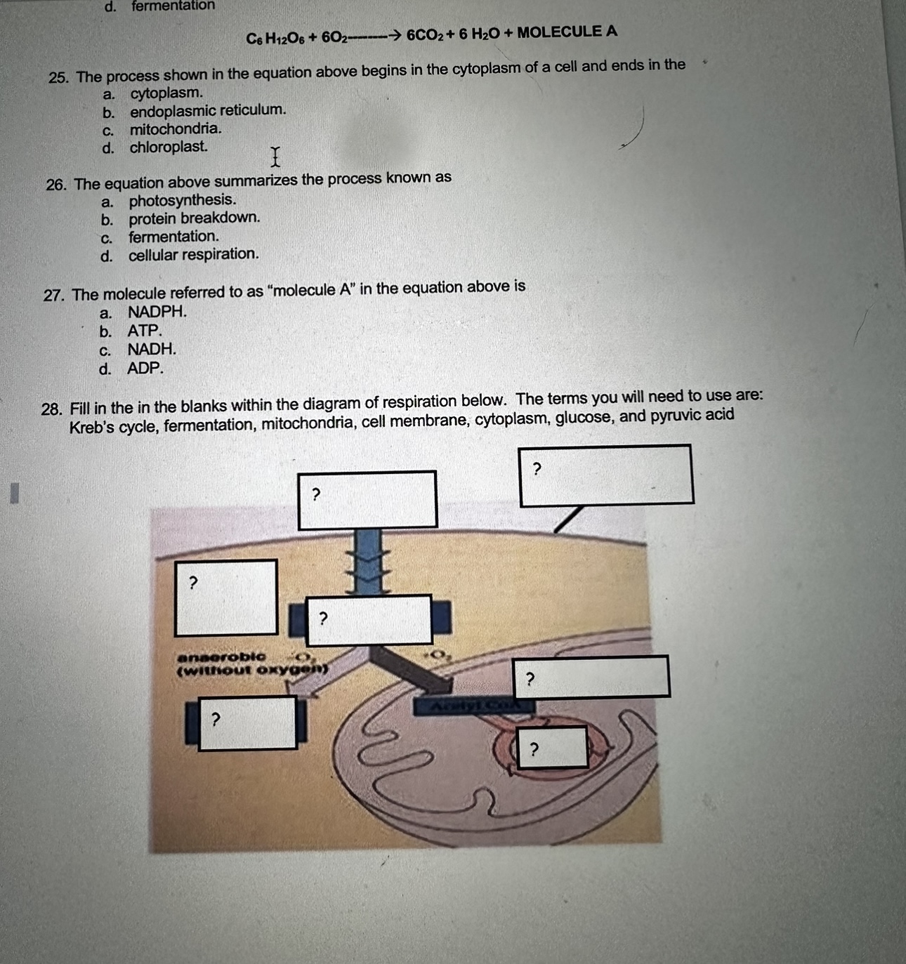 Solved \\[ \\mathrm{C}_{6} \\mathrm{H}_{12} | Chegg.com