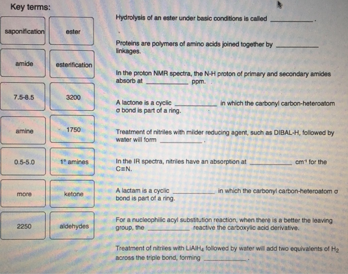 Solved Key terms: Hydrolysis of an ester under basic | Chegg.com
