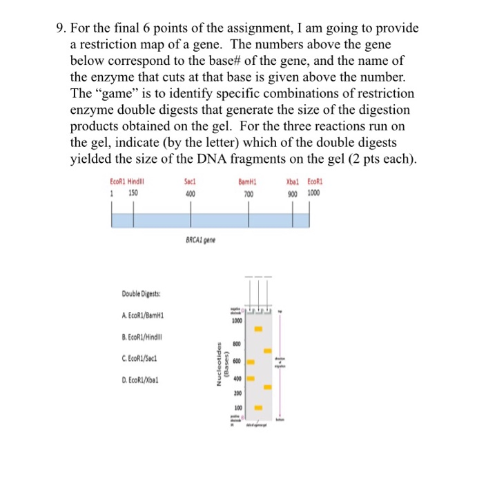 Solved 9. For the final 6 points of the assignment, I am | Chegg.com