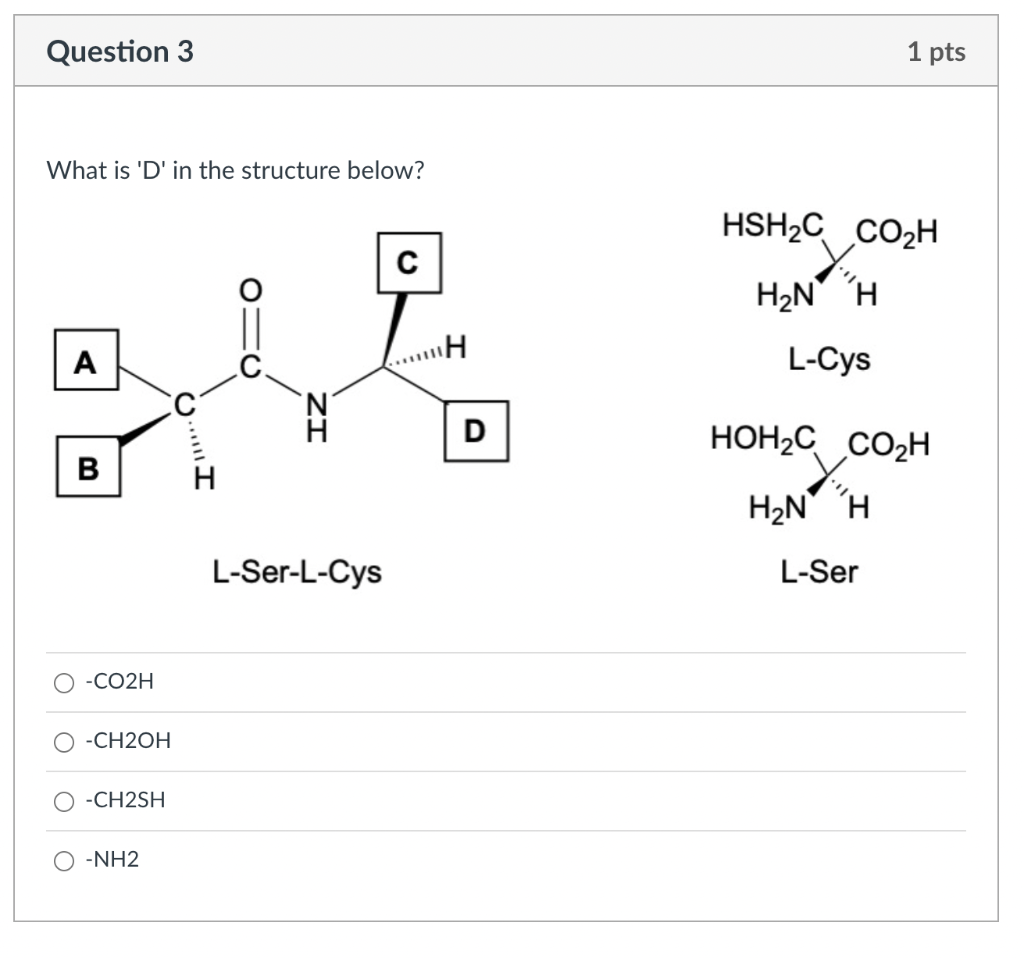Solved Question 3 What is 'D' in the structure below? C P A | Chegg.com