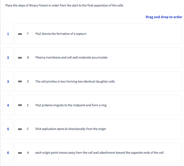 Solved Place the steps of Binary Fission in order from the | Chegg.com