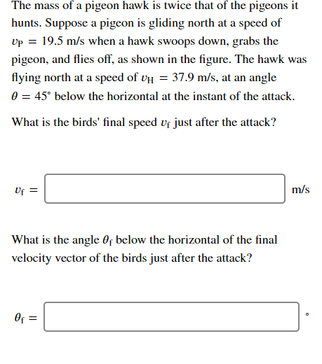 Solved The mass of a pigeon hawk is twice that of the | Chegg.com