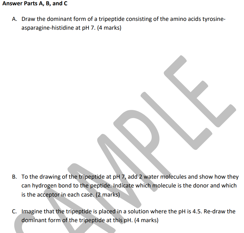 A. Draw the dominant form of a tripeptide consisting | Chegg.com