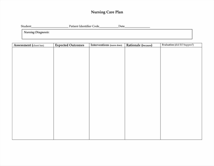 Solved Nursing Care Plan Student Patient Identifier Code | Chegg.com