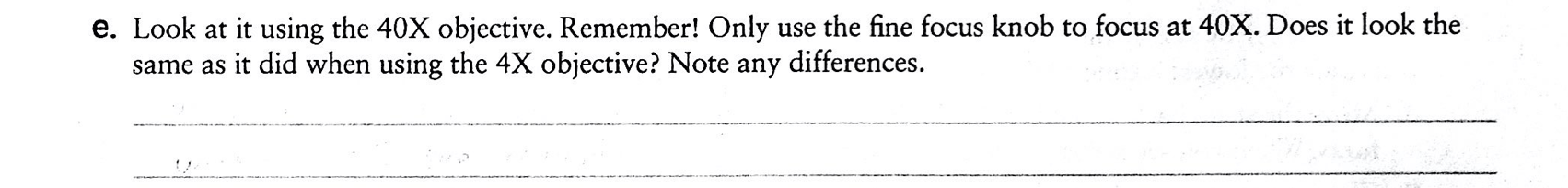 Solved e. ﻿Look at it using the 40x ﻿objective. Remember! | Chegg.com