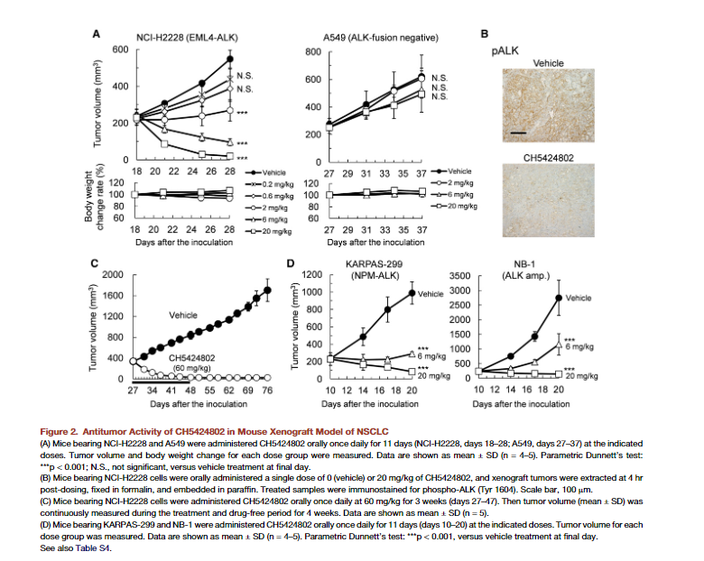 Solved Figure 1. Selective Antitumor Activity in | Chegg.com