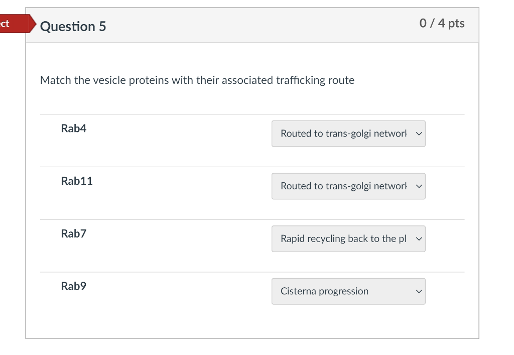 Solved I got this question wrong, can someone please tell me | Chegg.com